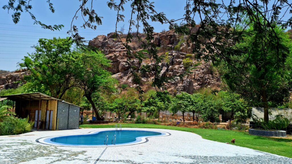 Luxury Swimming Pool Experience at Camp Wild Retreat