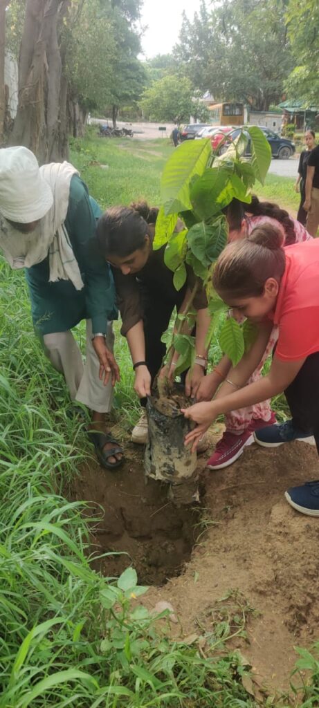 Tree Plantation by Guru Nanak Public School at Camp Wild