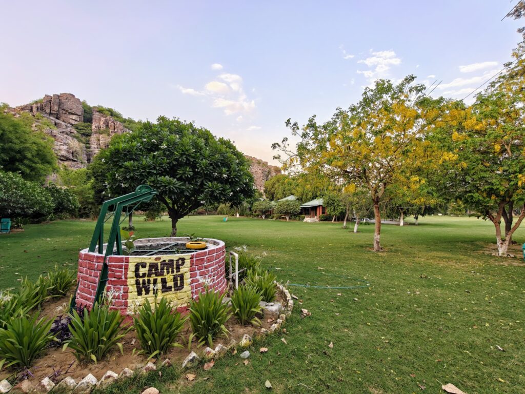 Experience Camp Wild Retreat – Eco-Friendly Adventure
